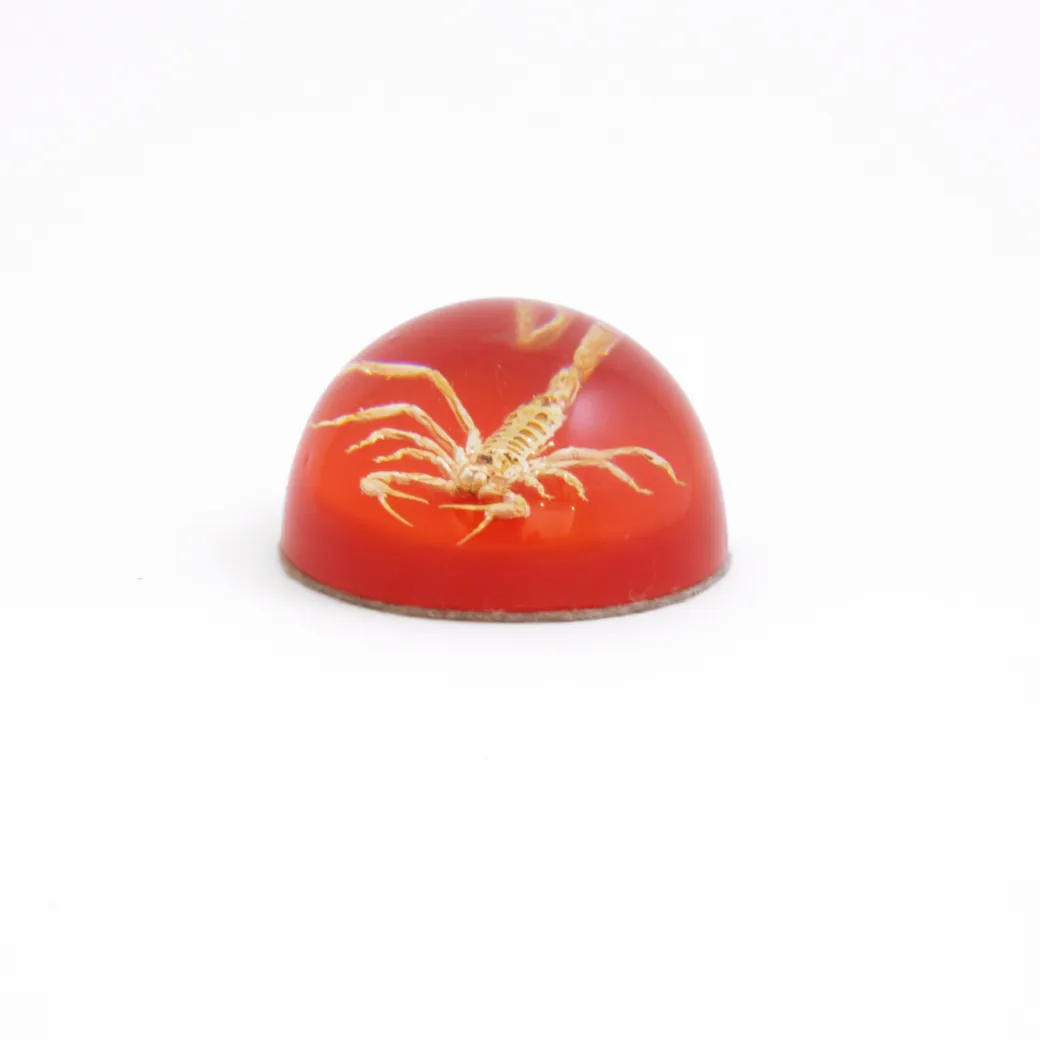 Scorpion Paperweight (red) - Institute of Making