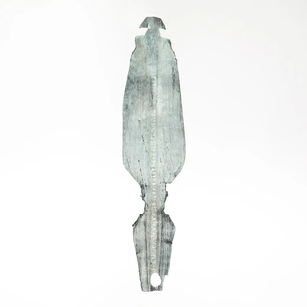 Ray Skin Leather - Institute of Making