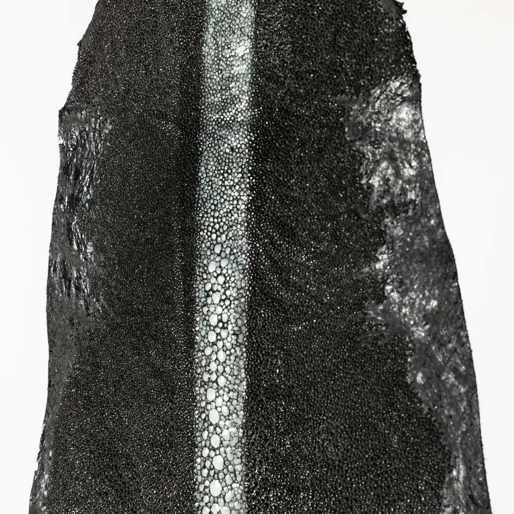 Ray Skin Leather - Institute of Making