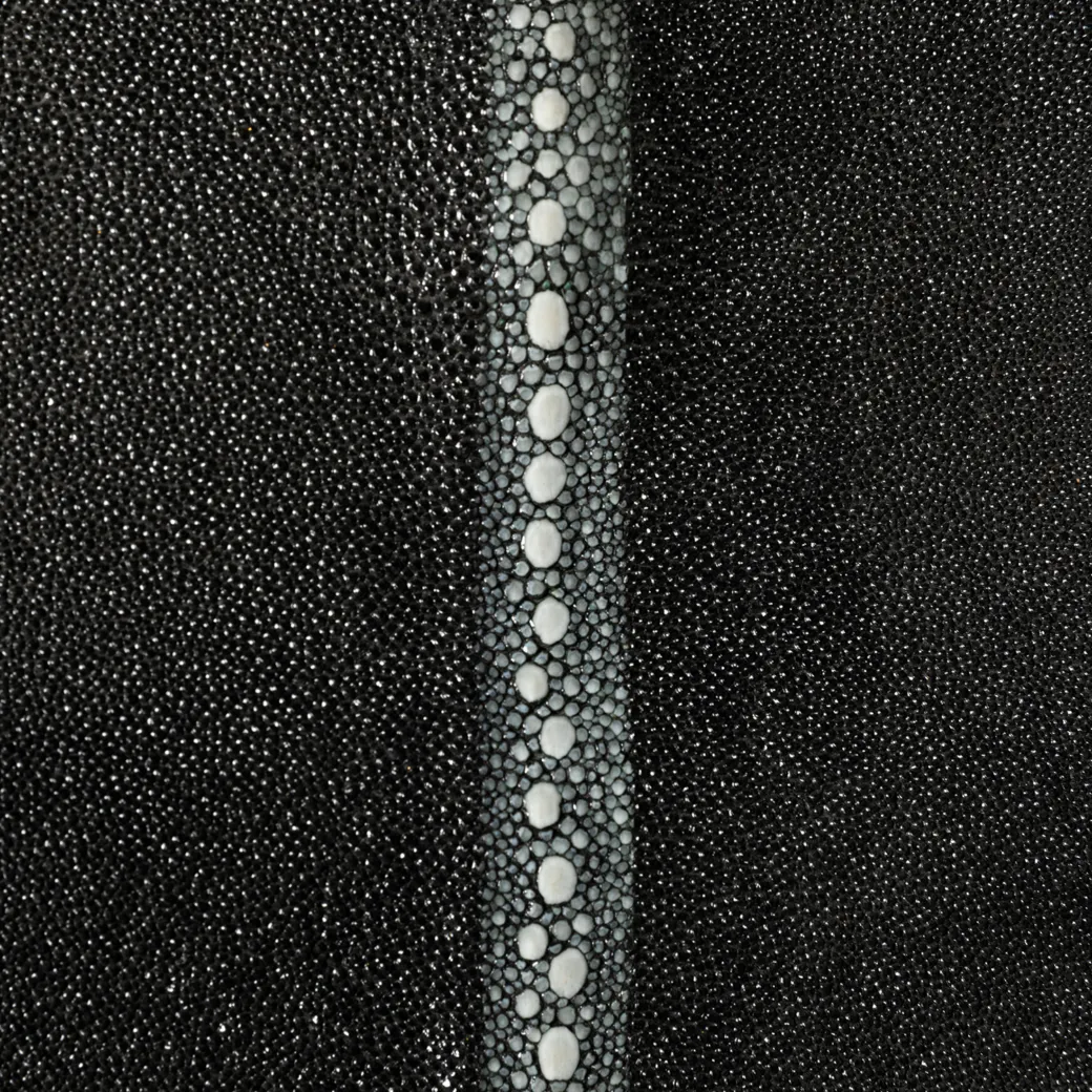 Ray Skin Leather - Institute of Making