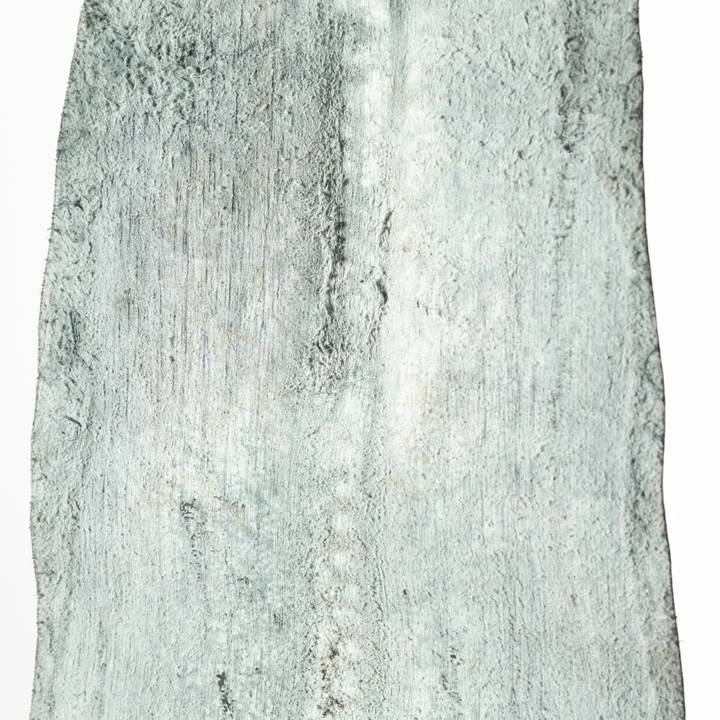 Ray Skin Leather - Institute of Making