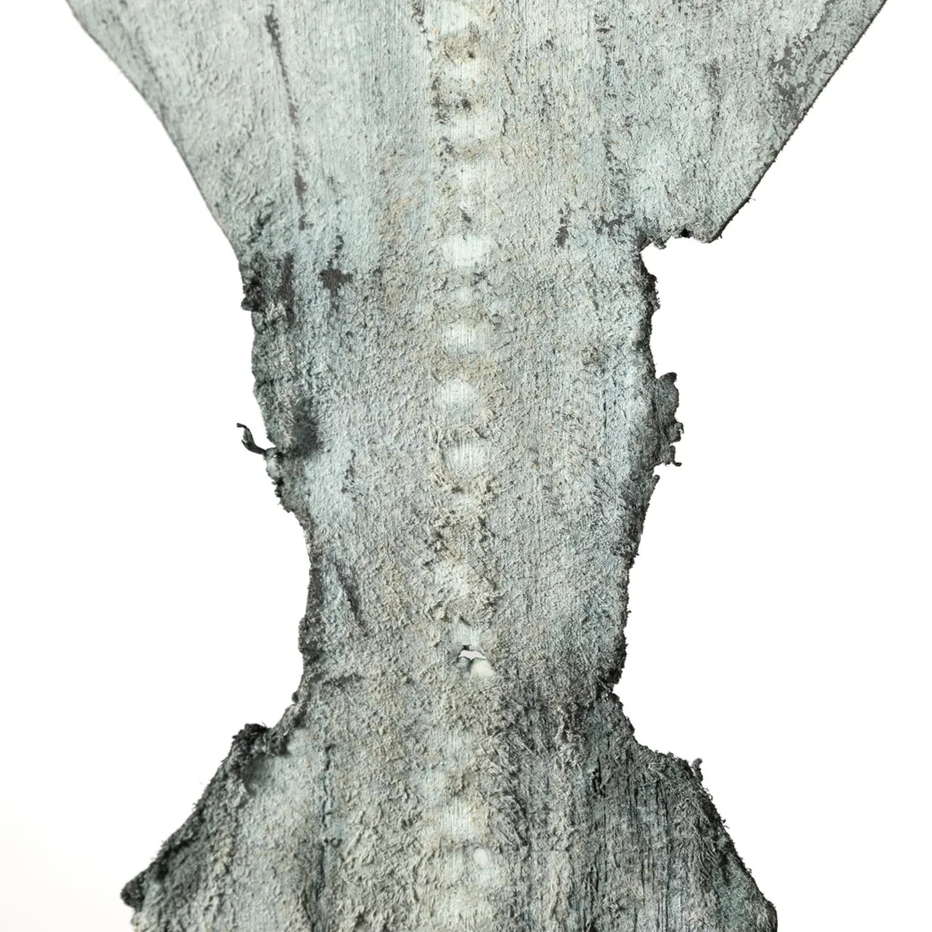 Ray Skin Leather - Institute of Making