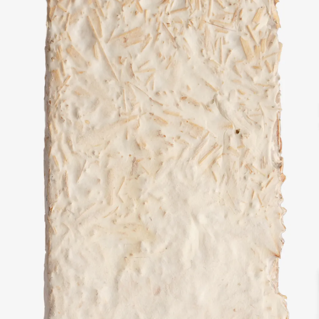 Mycelium Perfume Packaging - Institute of Making