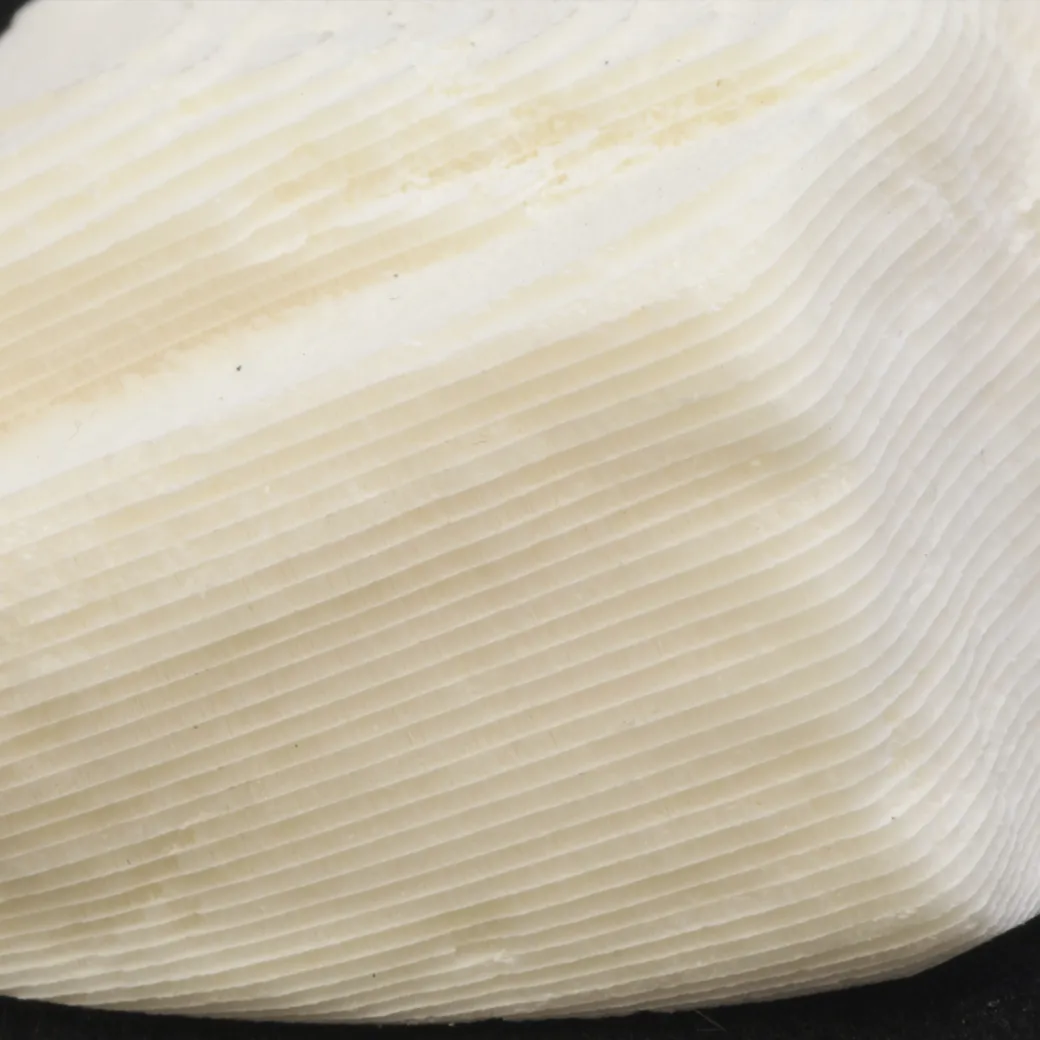 Cuttlefish Bone - Institute of Making
