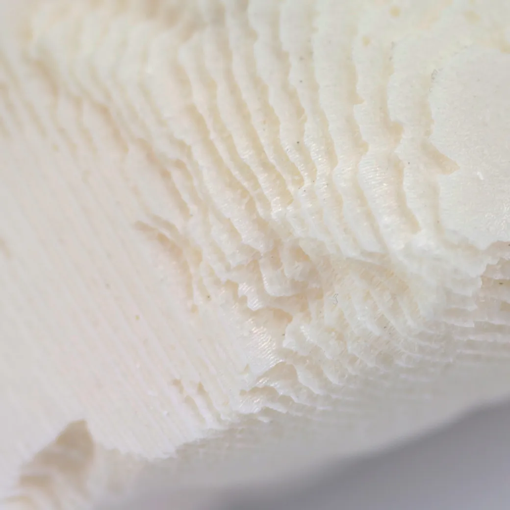 Cuttlefish Bone - Institute of Making