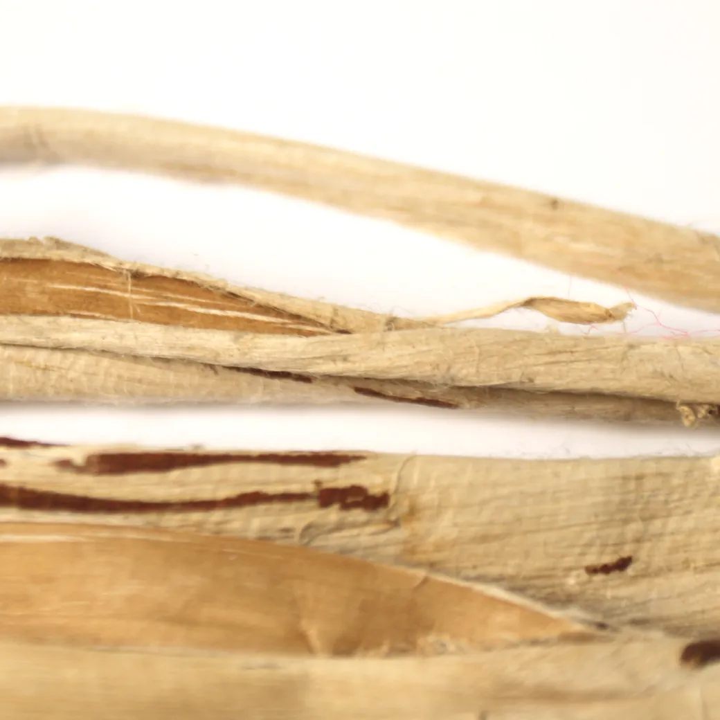 Mulberry Bark - Institute of Making