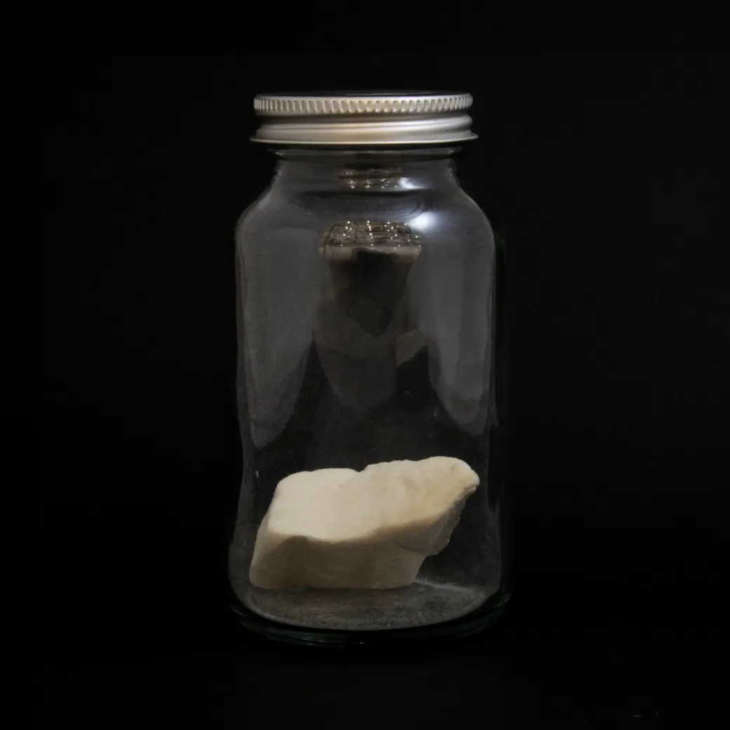 Cuttlefish Bone - Institute of Making