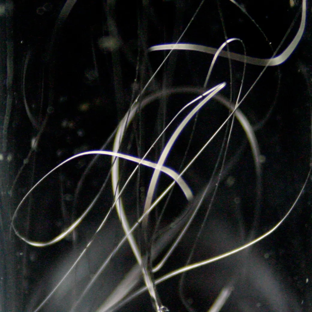 Muscle Wire - Institute of Making