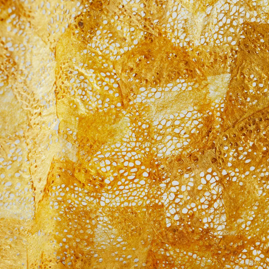 Insect Cocoons - Institute of Making