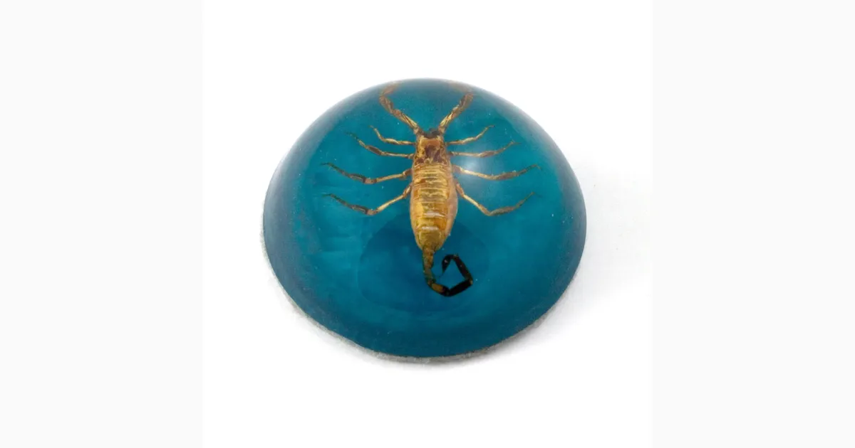 Scorpion Paperweight (blue) - Institute of Making