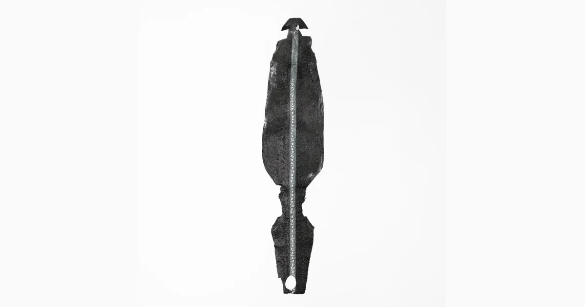 Ray Skin Leather - Institute of Making