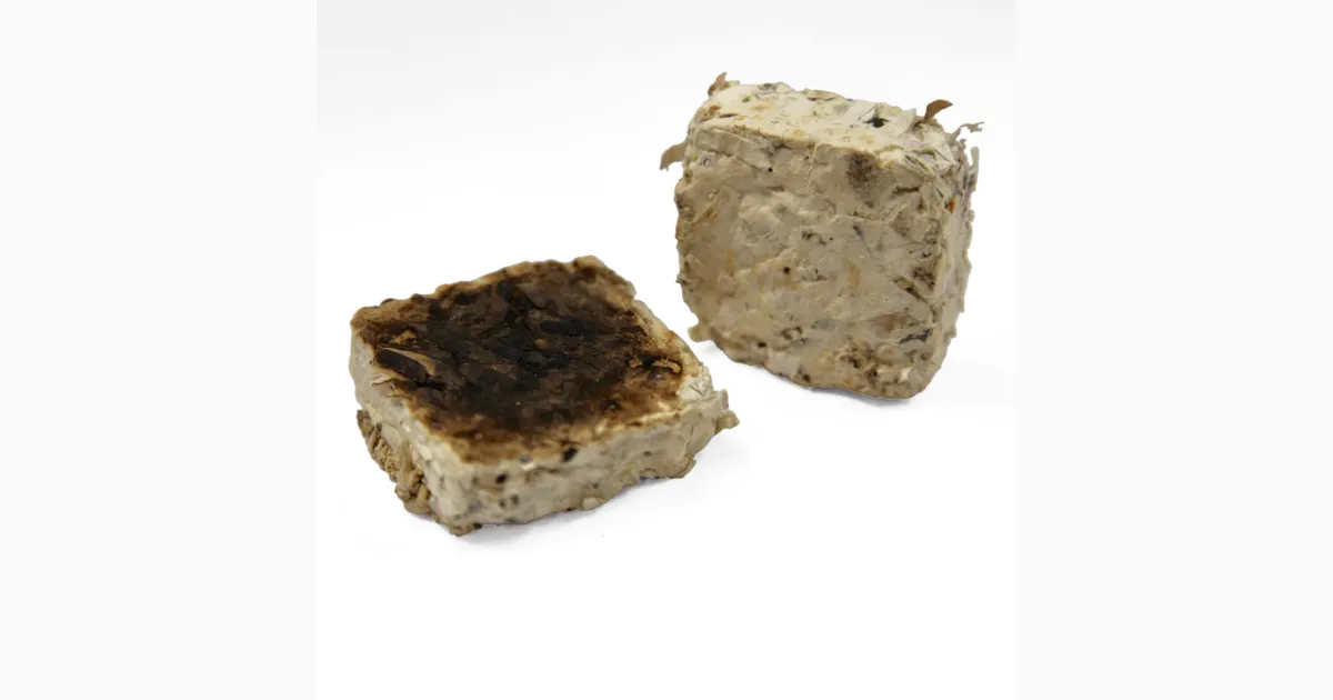 Mycelium Foam - Institute of Making