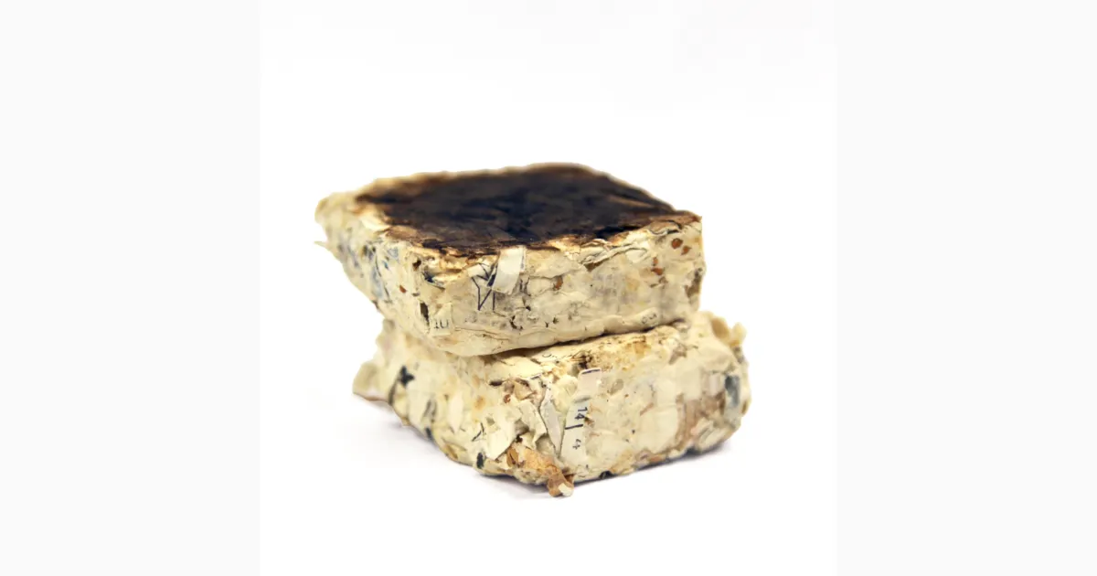 Mycelium Foam - Institute of Making